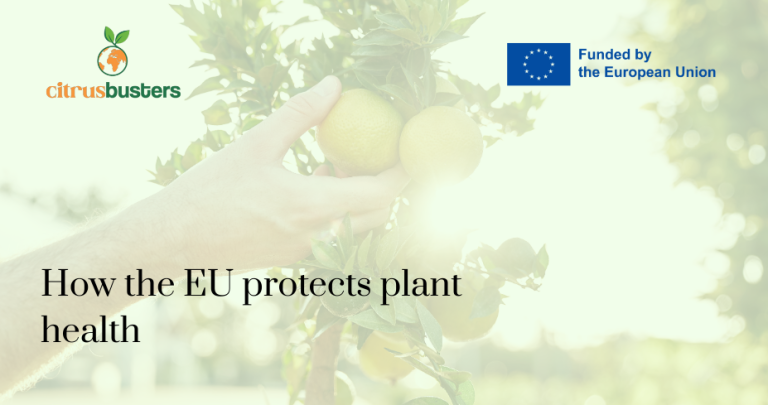 How the EU protects plant health – citrusbusters.eu